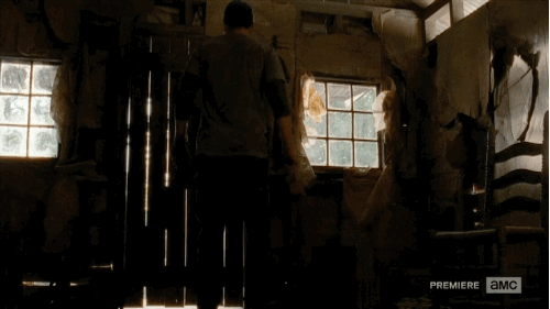 The walking dead amc tv GIF on GIFER - by Mandis