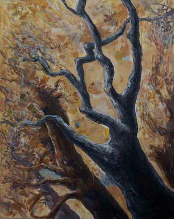 Wind particles nature GIF on GIFER - by Sinfire