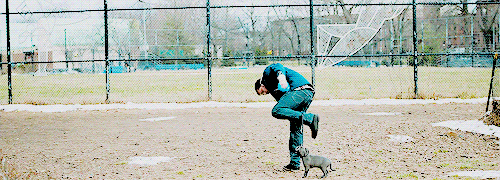 Tom hardy my the drop GIF on GIFER - by Volar