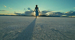 The tree of life GIF on GIFER - by Cordara