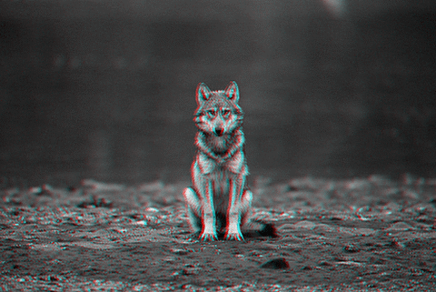 3d wolf GIF on GIFER - by Nigami
