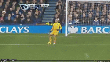 Tim howard GIF on GIFER - by Grawyn