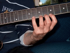 Spider GIF on GIFER - by Stonepick