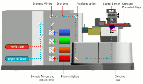 Scanning GIF on GIFER - by Tygogar