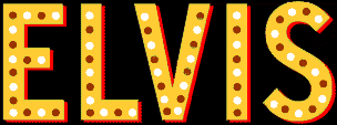 Elvis GIF on GIFER - by Nidora