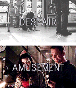 Ncis funny GIF on GIFER - by Centribor