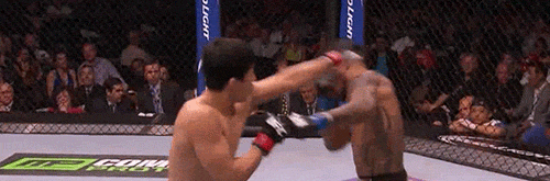 Mma entertainment ufc GIF on GIFER - by Bahuginn