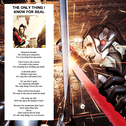 Metal gear rising revengeance GIF on GIFER - by Shaktishicage