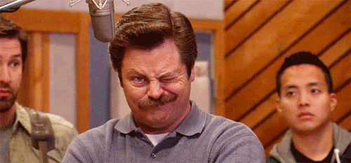 Ron swanson GIF on GIFER - by Mole