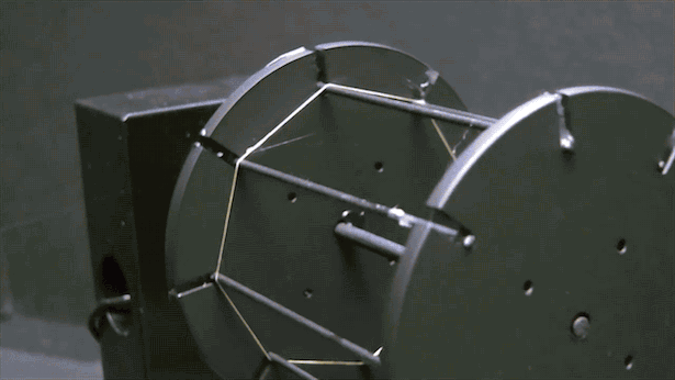 Spider GIF on GIFER - by Dianath