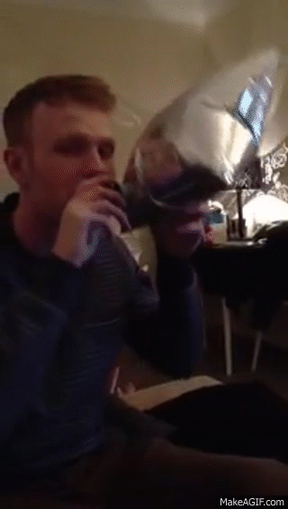 Prince harry GIF on GIFER - by Ketilar