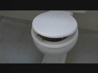 Toilet always GIF on GIFER - by Cethis