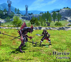 Video games final fantasy xiv a realm reborn GIF on GIFER - by Anayaswyn