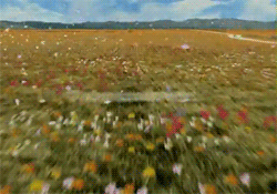 Ff8 if you come here GIF on GIFER - by Brantrius