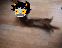 Homestuck karkat vantas animals GIF on GIFER - by Nuage