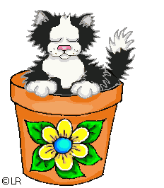 Transparent pot GIF on GIFER - by Oghmardin
