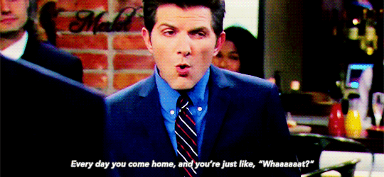 Ben wyatt parks and recreation parks and rec GIF on GIFER - by Nisho