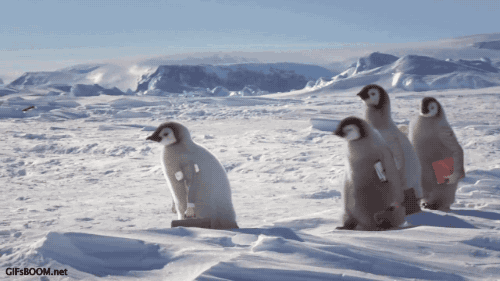 GIF winter - animated GIF on GIFER - by Golddragon