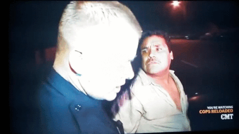 Arrest GIF on GIFER - by Nuada