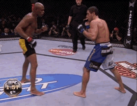 Mma GIF on GIFER - by Satilar