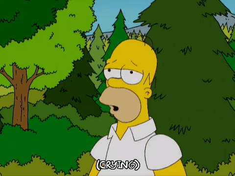 Homer simpson season 20 crying GIF on GIFER - by Doomsinger