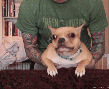 Club GIF on GIFER - by Gosho