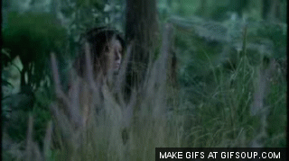 Meet GIF on GIFER - by Tojagami