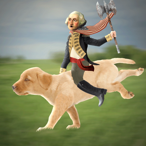 George washington on my way GIF on GIFER - by Zarad