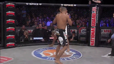 Fighting mma spike GIF on GIFER - by Doomshaper