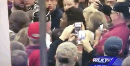 News mic politics GIF on GIFER - by Cereris