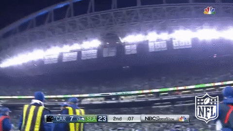 GIF football nfl seattle seahawks - animated GIF on GIFER - by Malador