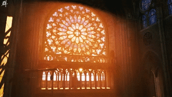 Assassins creed edited by me ac GIF on GIFER - by Kirigra