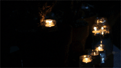 Flamingo animation GIF on GIFER - by Hellseeker