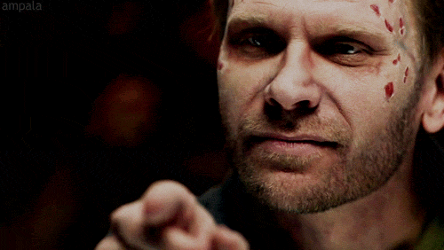 Cameron Baum Quotes About Us | Baum Tree Care