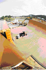 Tony hawk GIF on GIFER - by Brasius