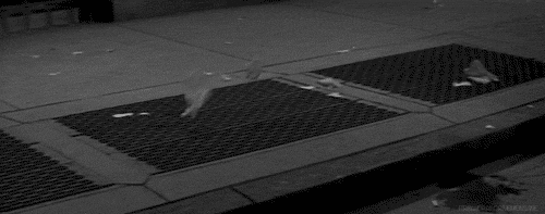 Otp hannah hooper grouplove GIF auf GIFER - von Disida