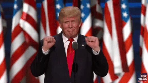 Politics trump donald trump GIF on GIFER - by Malahelm