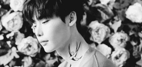 Han lee GIF on GIFER - by Sterndefender