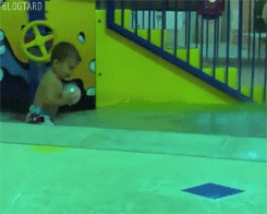 2012 shaytards GIF on GIFER - by Andronaya