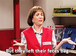 Snl saturday night live GIF on GIFER - by Mirardred