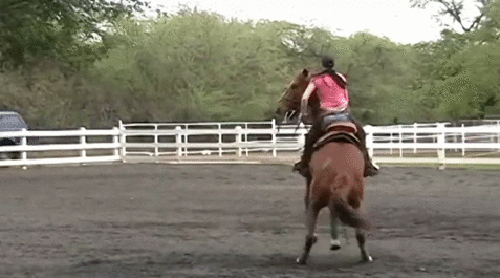 Riding women horse GIF on GIFER - by Malaghma