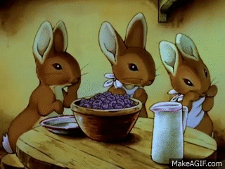 Bunny rabbit GIF on GIFER - by Dorisar