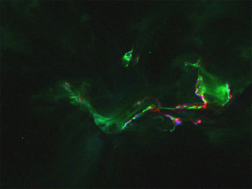 Science solar flare space GIF on GIFER - by Brajora