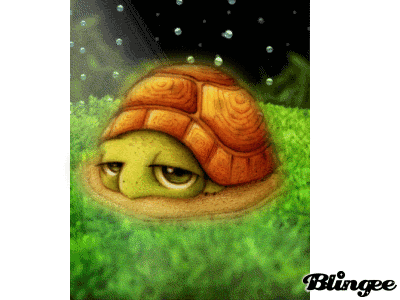 Gif De Tortuga Animada La Tortuga Con La Dentadura On Make A GIF