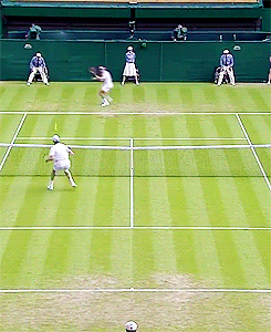 GIF tennis roger federer wimbledon - animated GIF on GIFER - by Thorgajurus