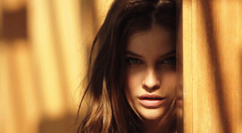 Vs swim GIF auf GIFER - von Faesho