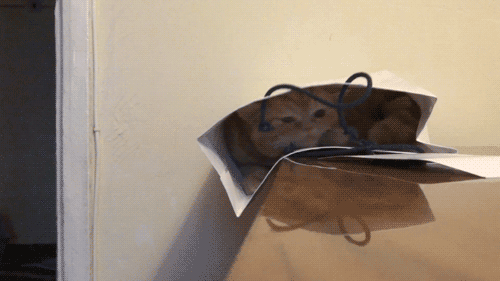 Frozen Princess Anna Waking Up