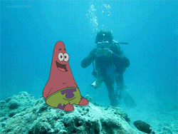 Patrick edition GIF on GIFER - by Agamalv