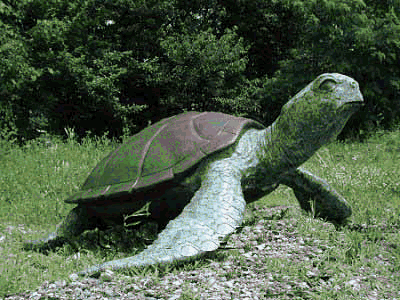 Gif De Tortuga Incómoda