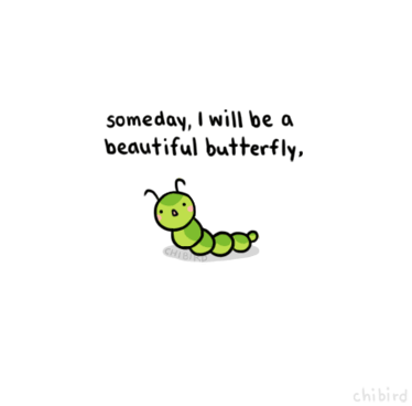 GIF butterflies sad cateillar - animated GIF on GIFER - by Zologrel